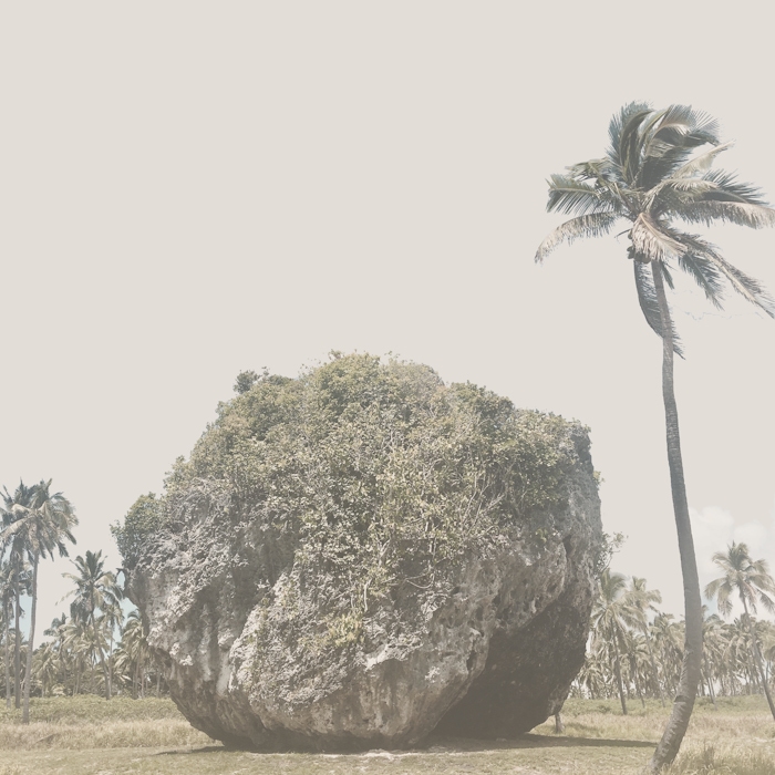 Tropical Rock Wall Mural Wallpaper