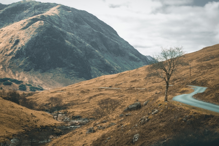 Scenic Scottish Country Lane Wallpaper