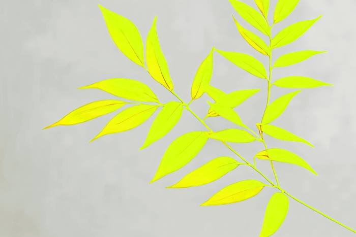 Yellow Fluor Leaves Wallpaper - Happywall.com