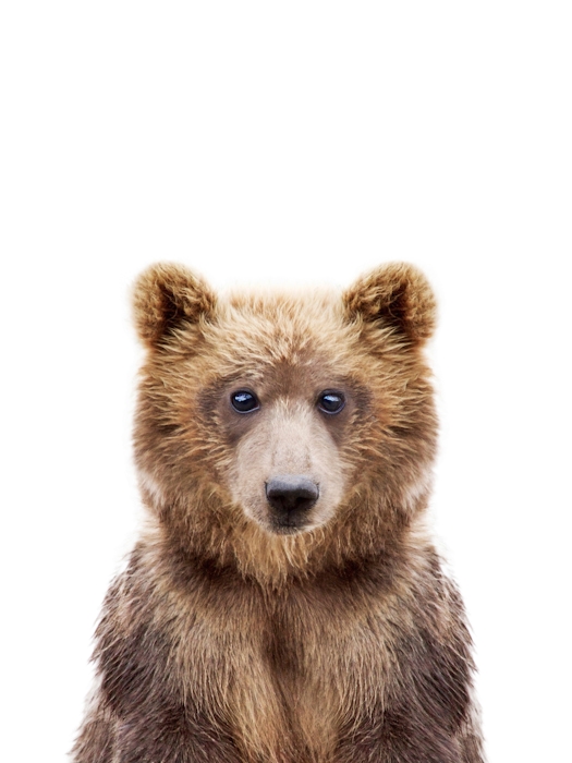 Bear Nursery Wallpaper - Cute Animal Design