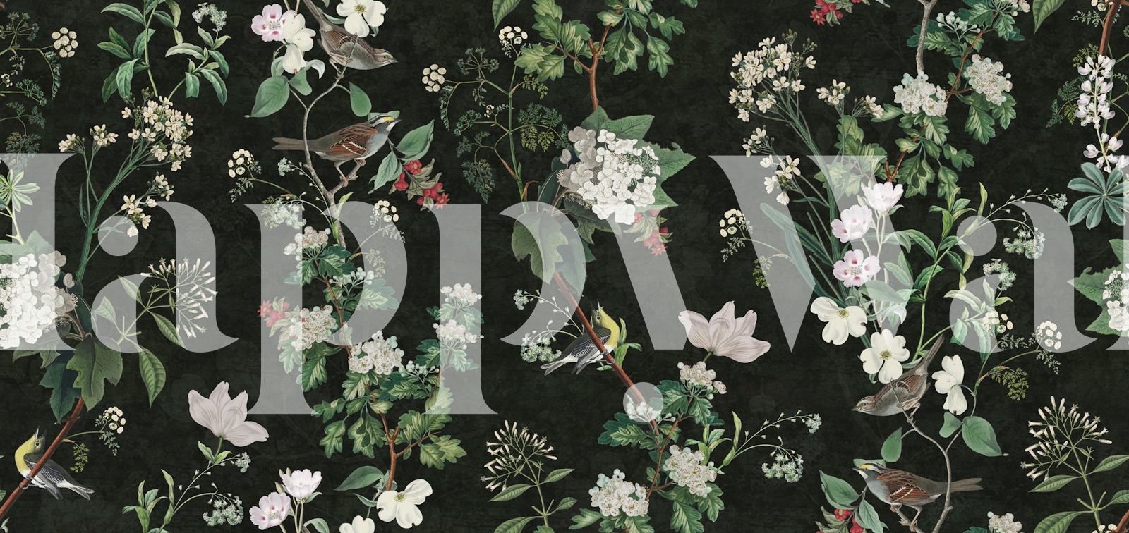 Midnight Floral Birds Wallpaper for Living Room