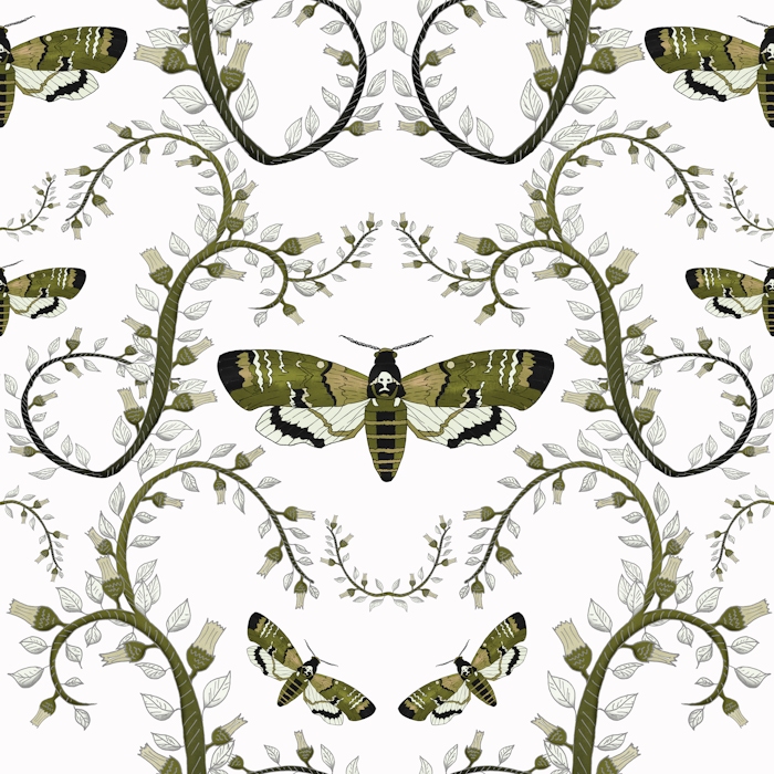 Gothic Moth Vines Pearl Green Wallpaper | happywall.com