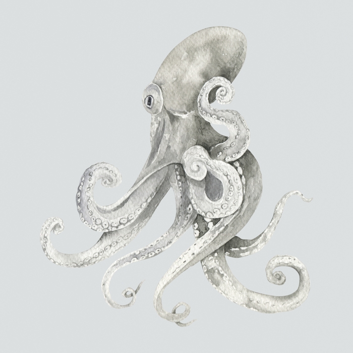 Gray Octopus Wallpaper for Nautical Decor