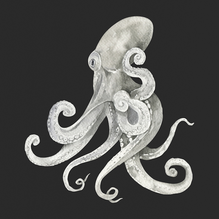 Deep Sea Octopus Nautical Wallpaper