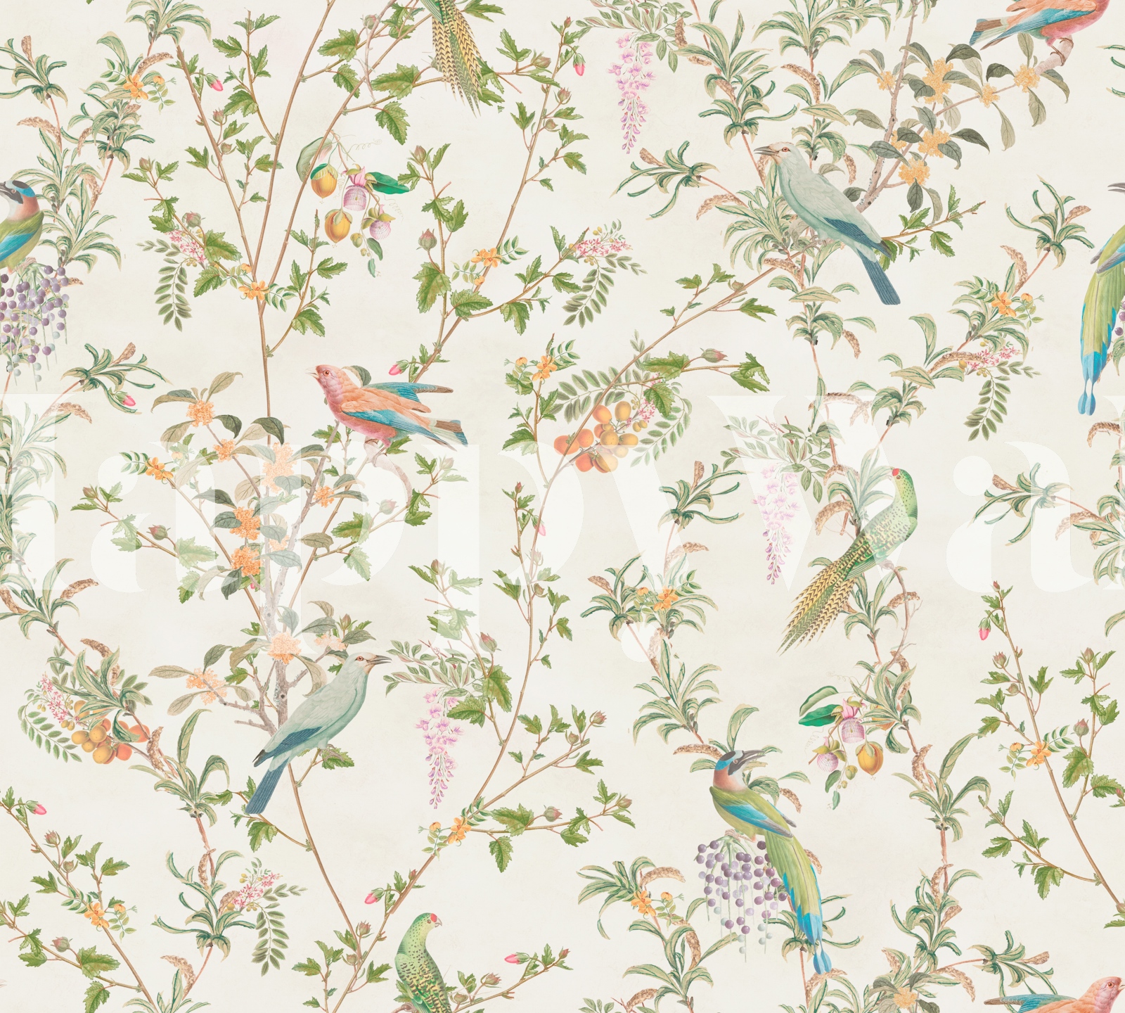 Floral Vines & Garden Birds Wallpaper - Happywall.com