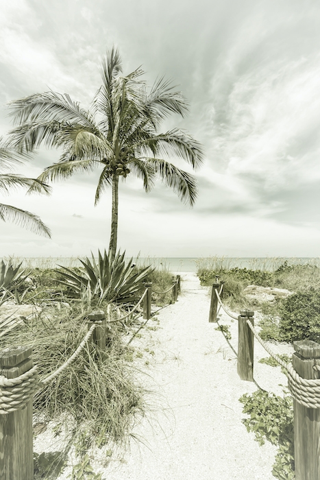 Vintage Path to the Beach Wallpaper – Happywall
