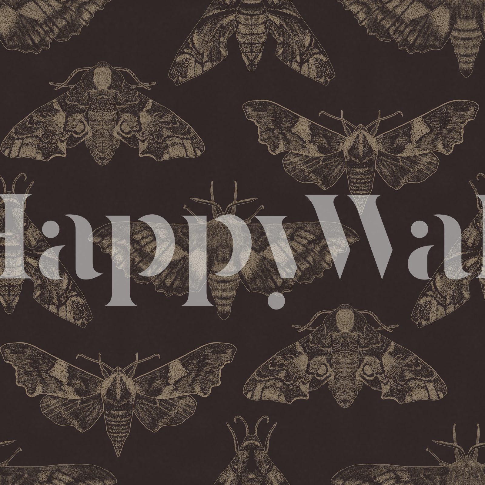 Midnight Moth Dance Wallpaper | happywall.com