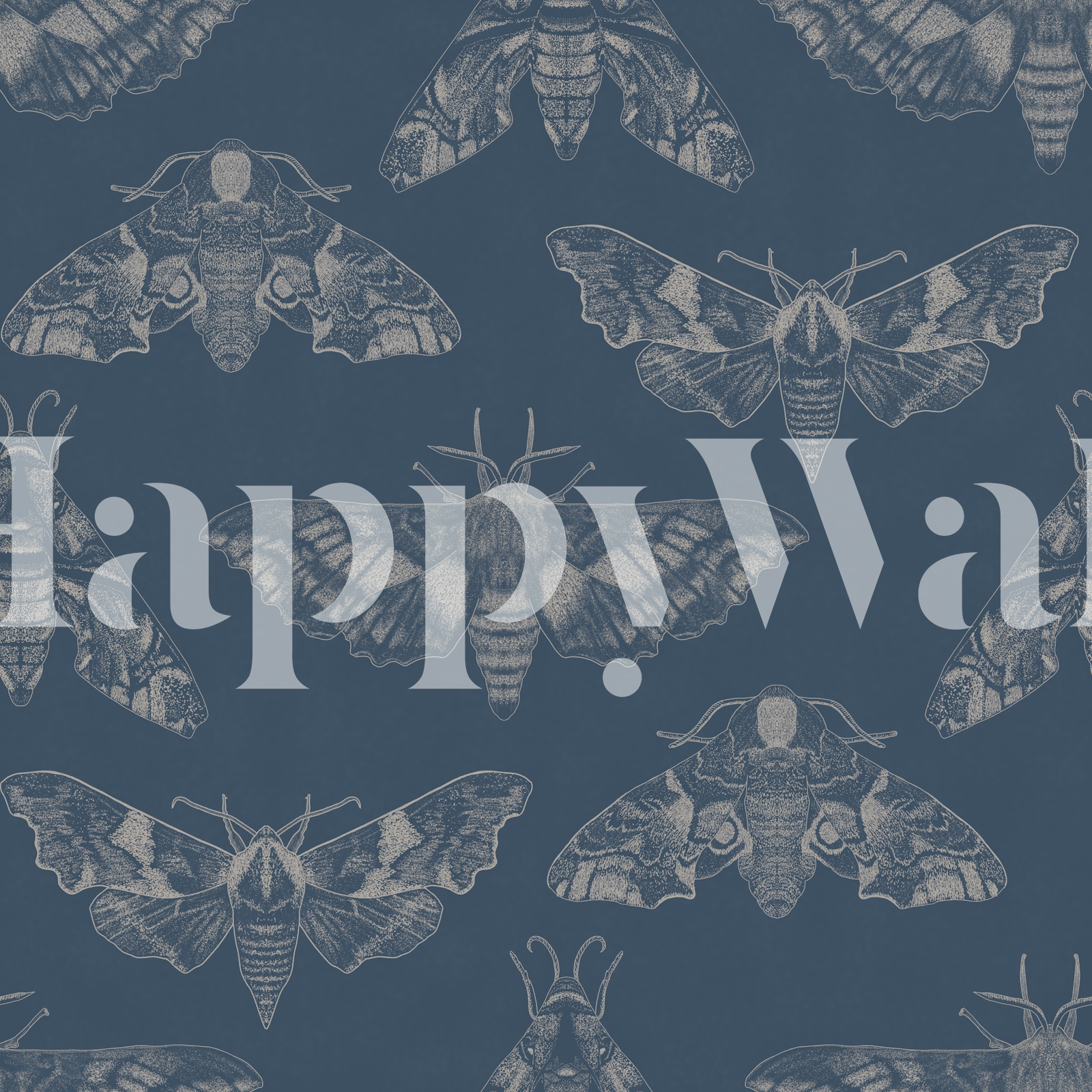 Dusk Moths Dance Wallpaper - Happywall.com