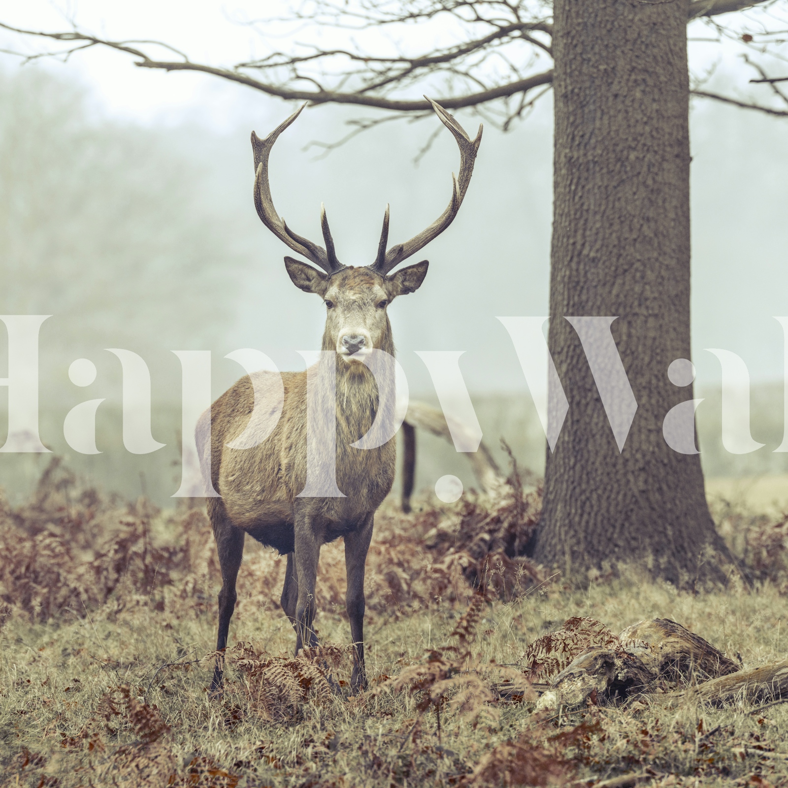 Noble Stag Forest Wallpaper Design