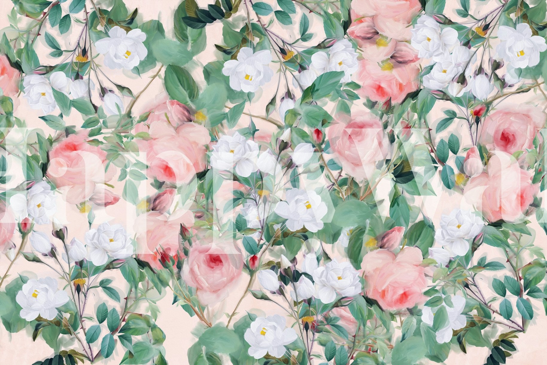 rosa rosae wallpaper - Happywall