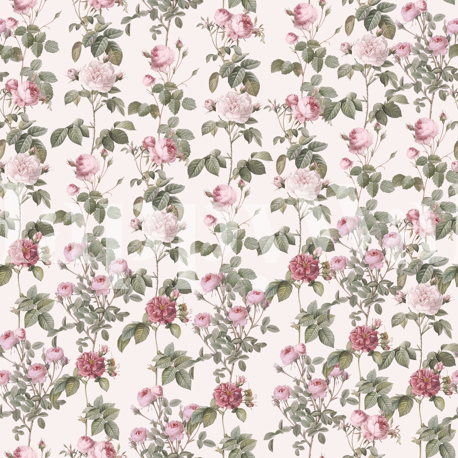 My Rambling Rose Garden Soft Blush Big - Happywall