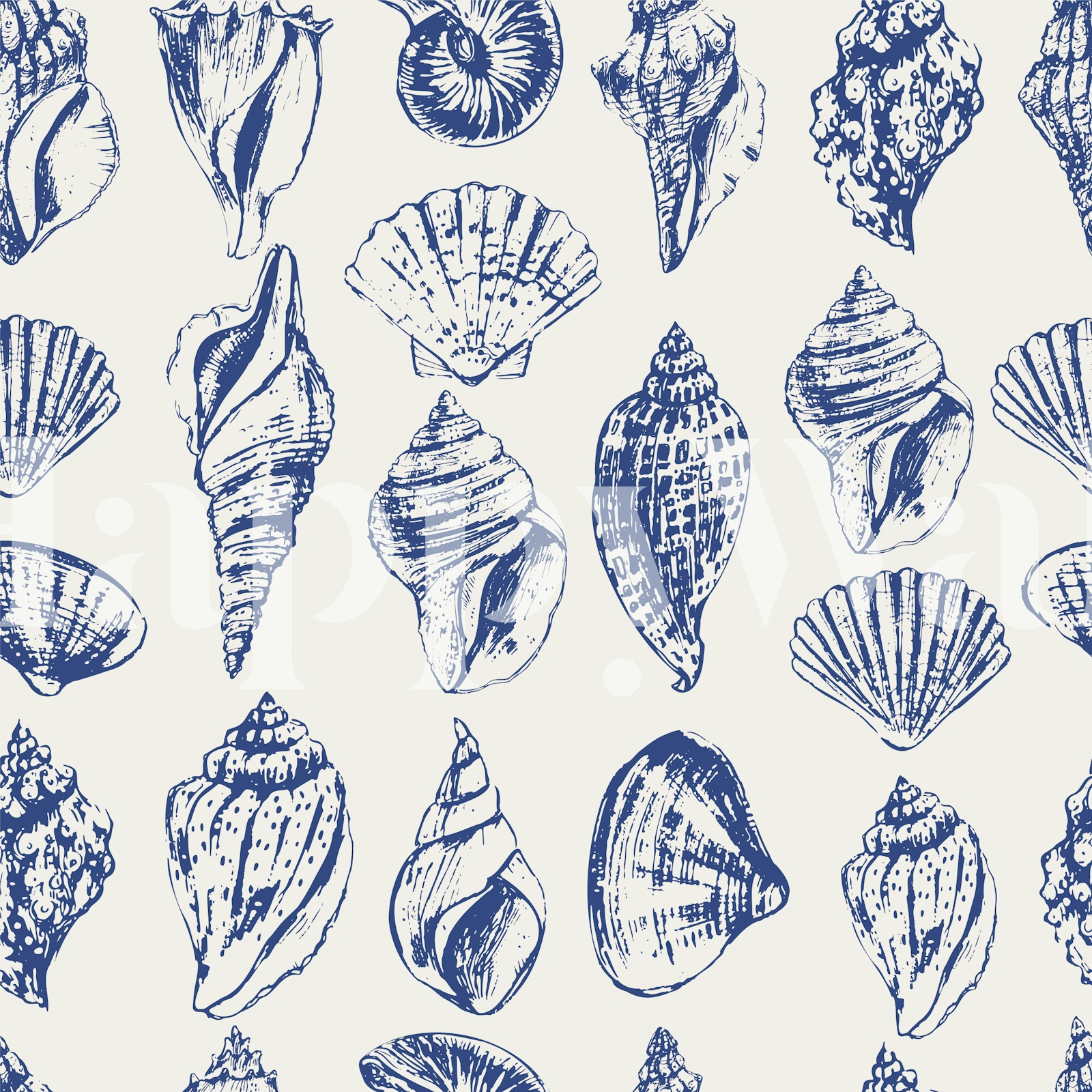 Blue Marine Life Shell Wallpaper