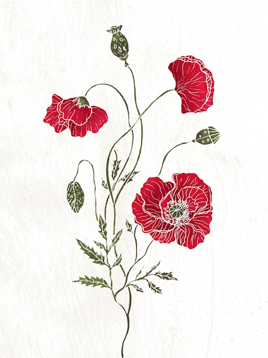 Wild Poppy Wallpaper | happywall.com