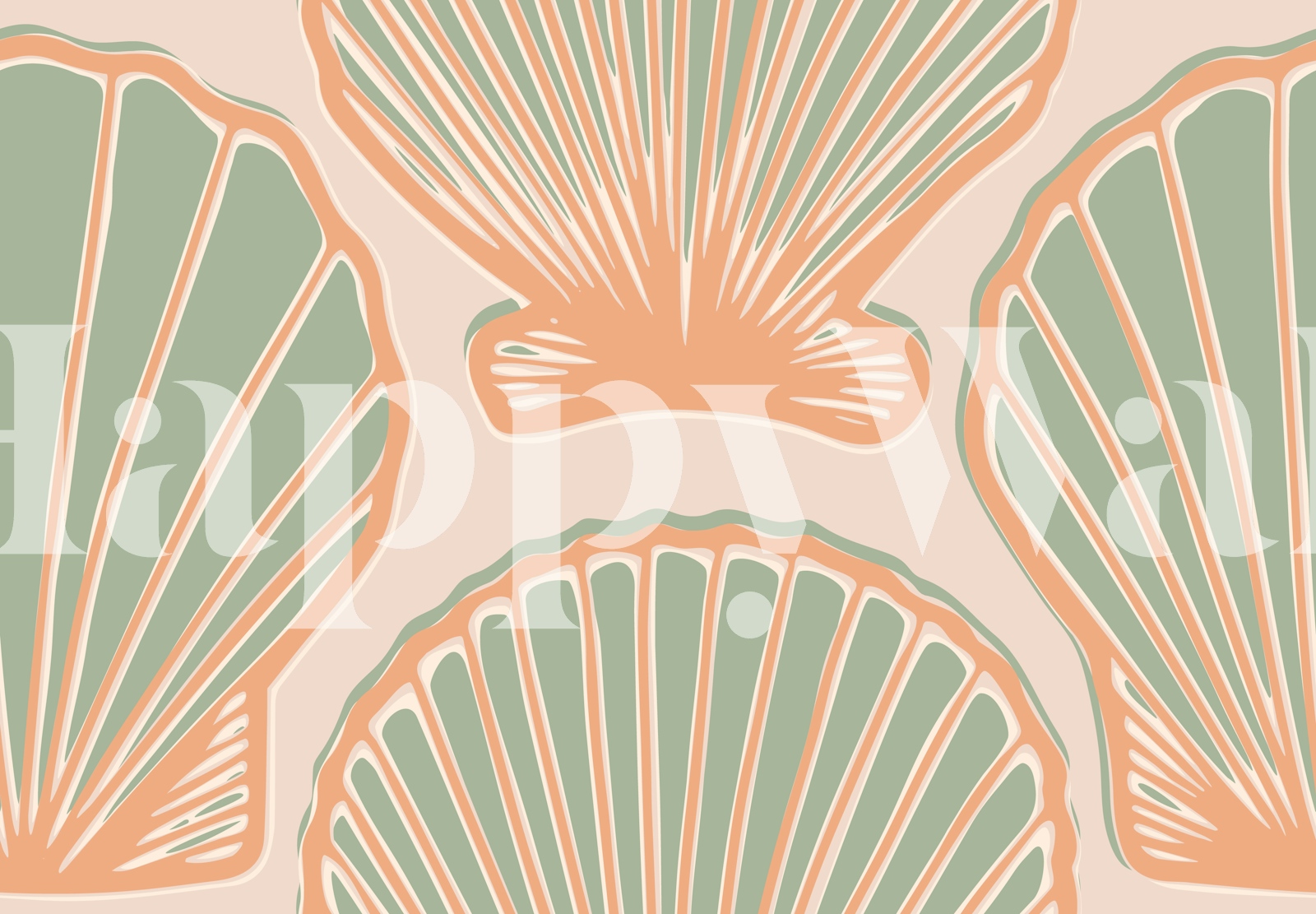 Green and Peach Scallop Shells Wallpaper