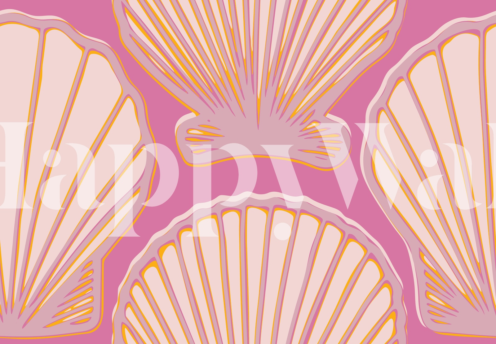 Scallop shells in pink and orange - Happywall