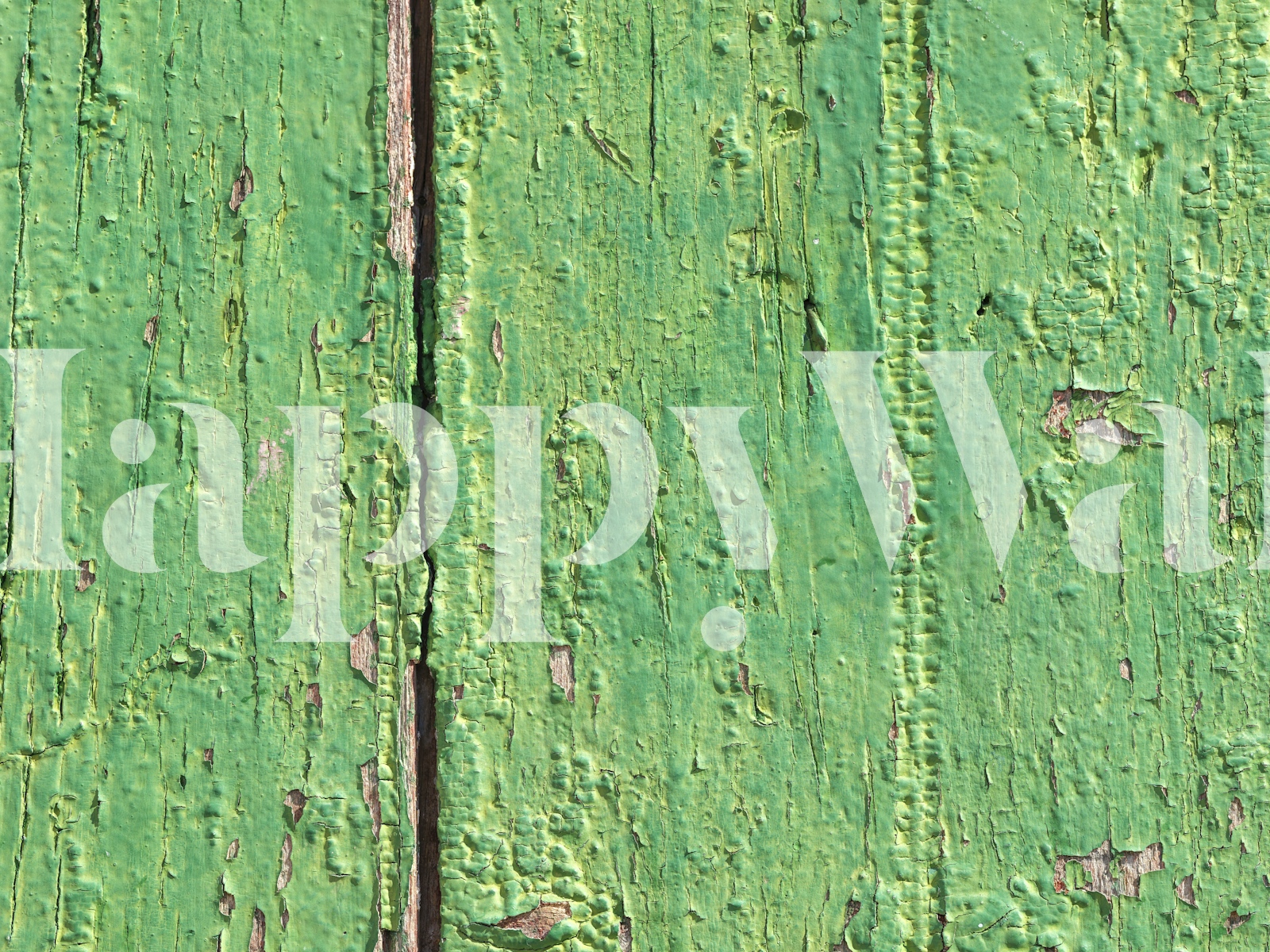 Weathered Green Timber Wallpaper - Happywall.com