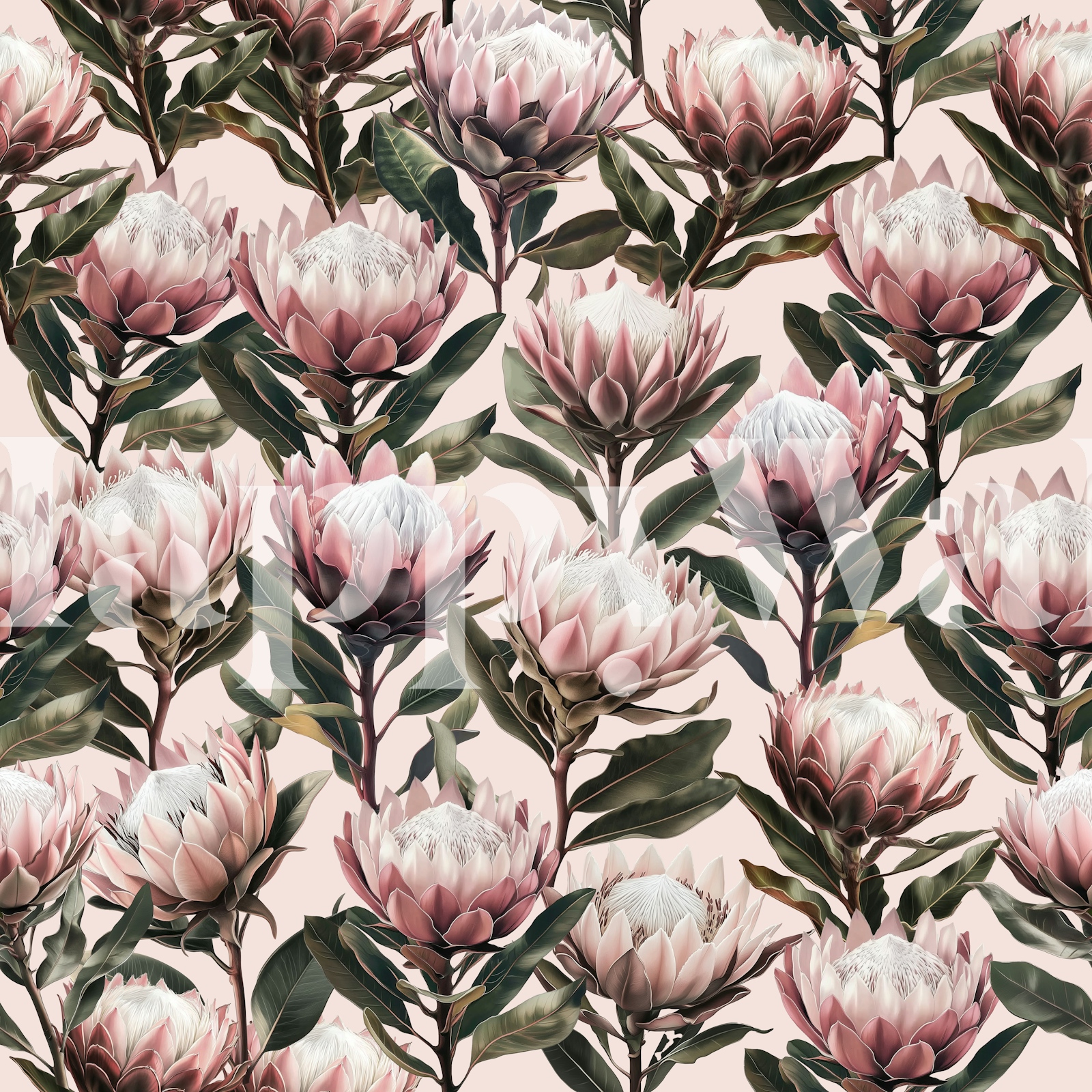Pink Floral Wallpaper with Protea Design