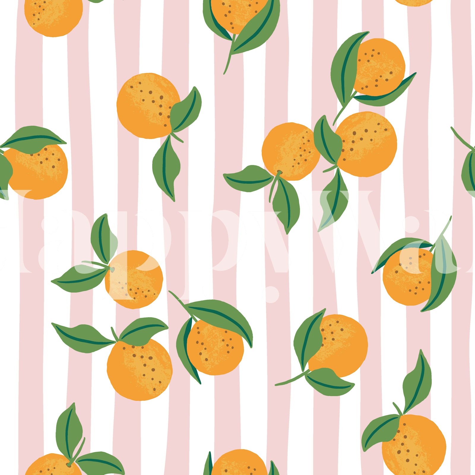 Oranges on Hand Drawn Blush Pink Stripes - Happywall