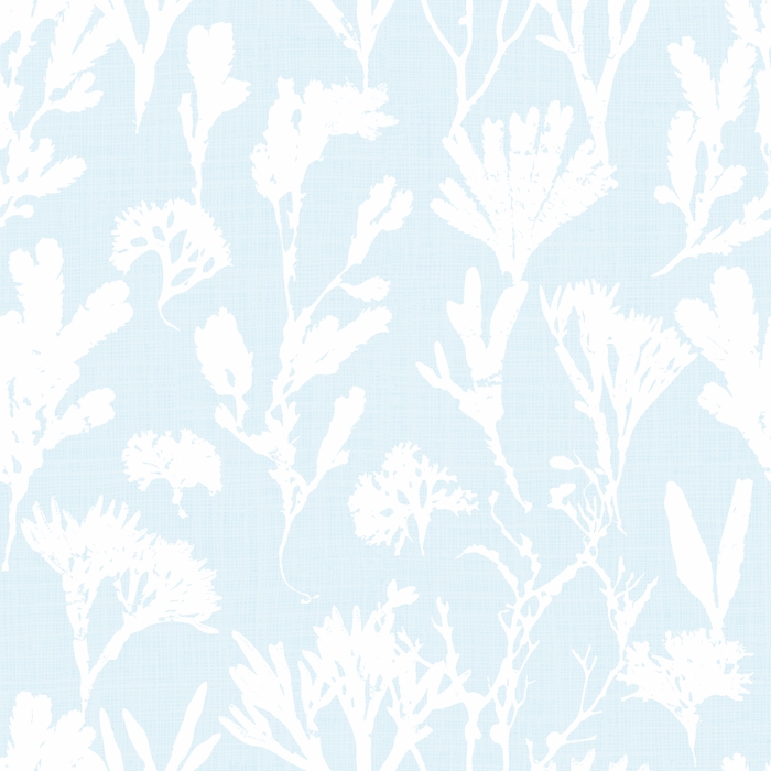 Coastal Seaweed - Light Blue | happywall.com