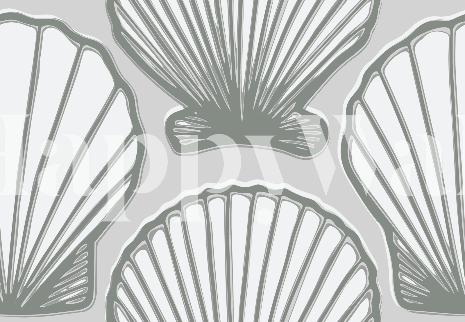 Scallop Shells in Grey Blue | Happywall.com
