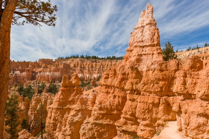 Bryce Canyon Red Rock Formation Wallpaper