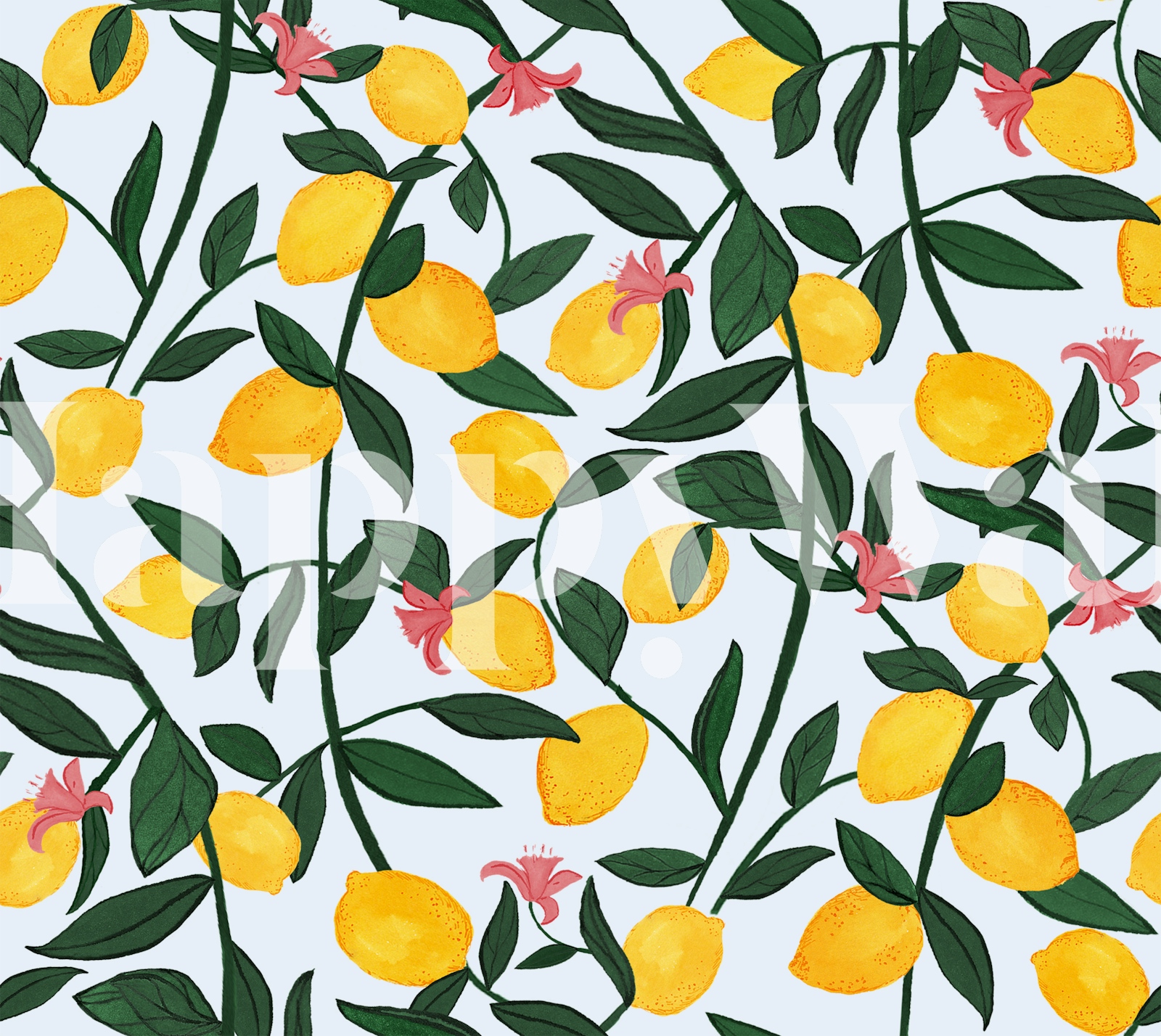 Capri Lemon Vines Wallpaper | happywall.com