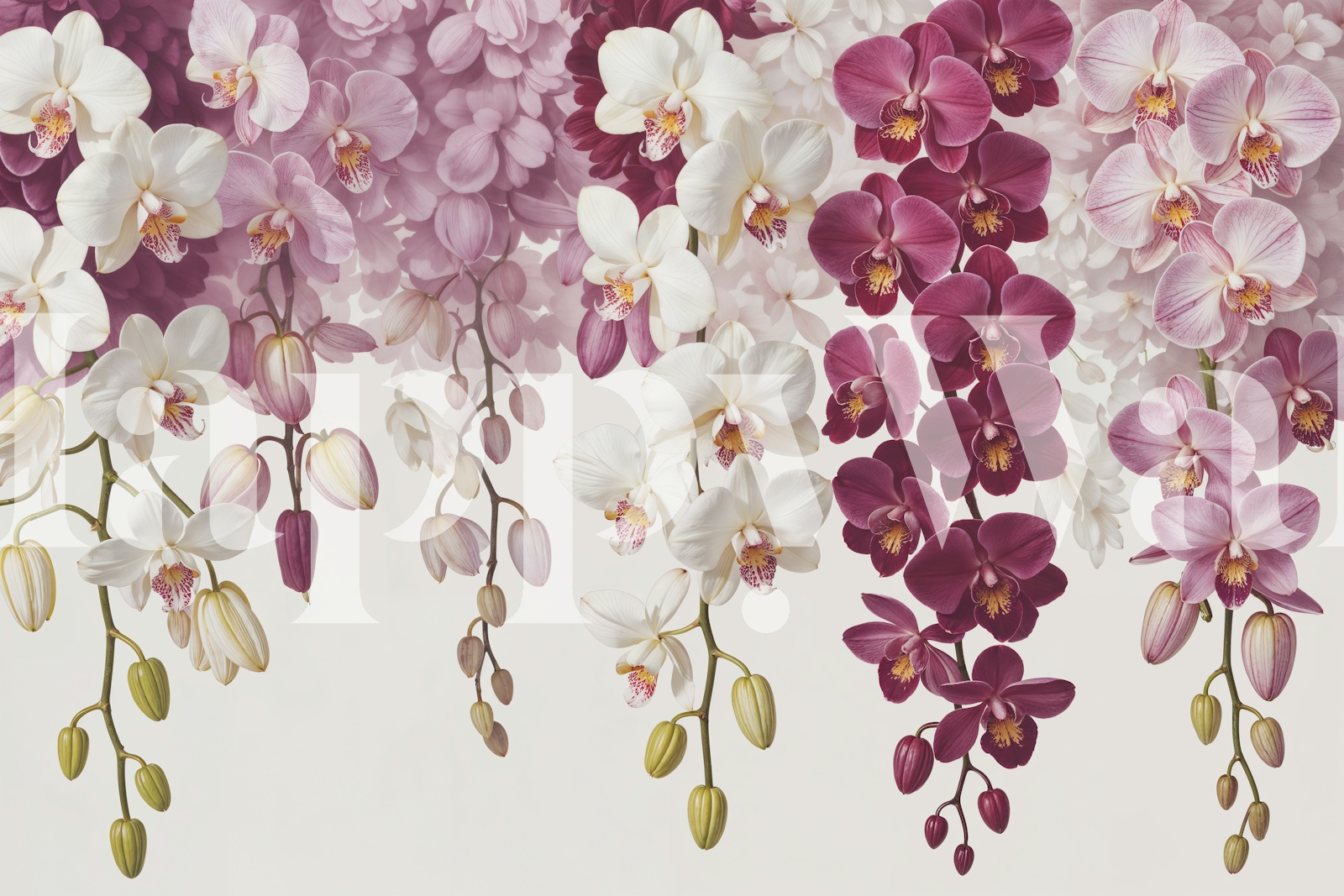 Pastel Orchid Cascade - happywall.com