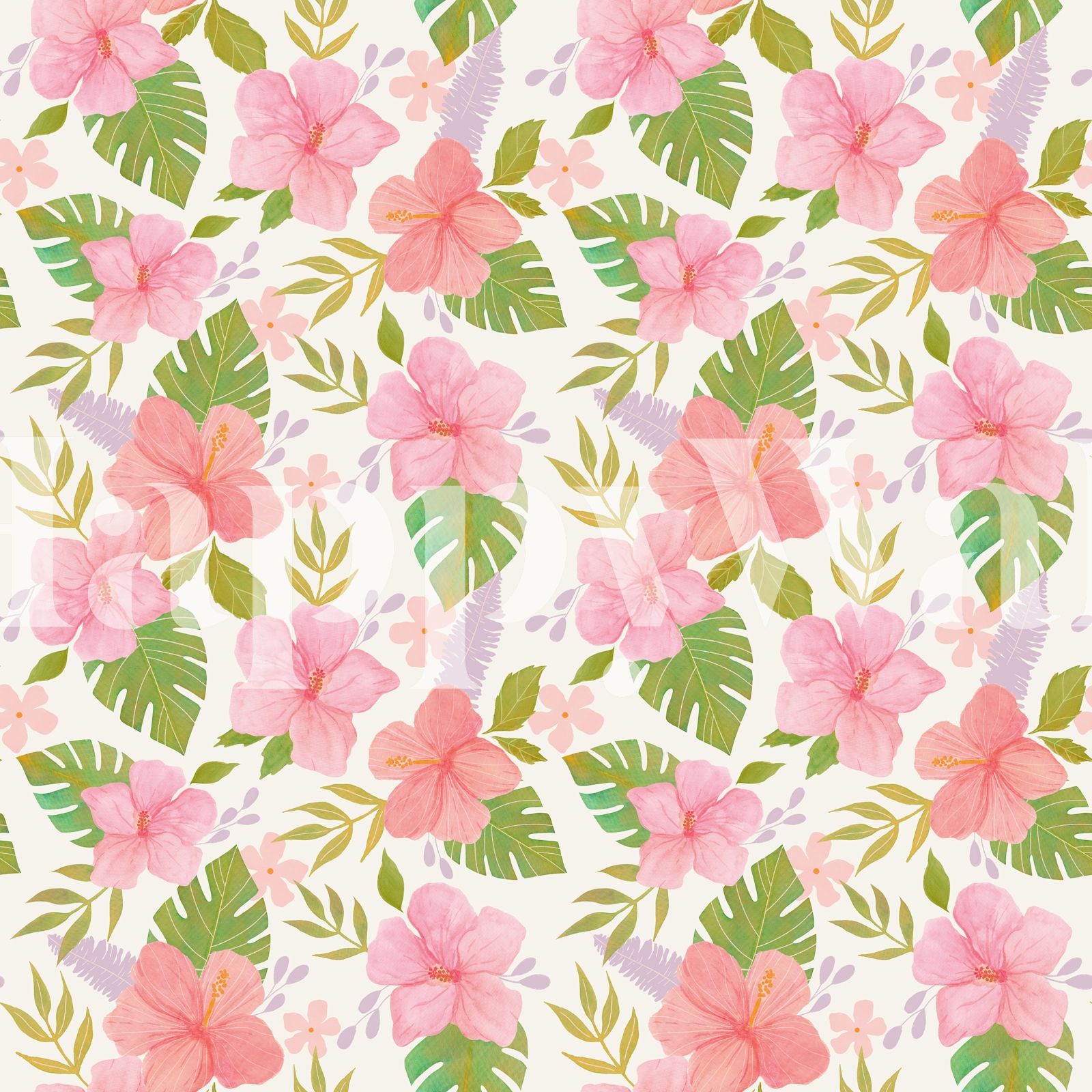 Pink Hibiscus Dream Wallpaper | happywall.com