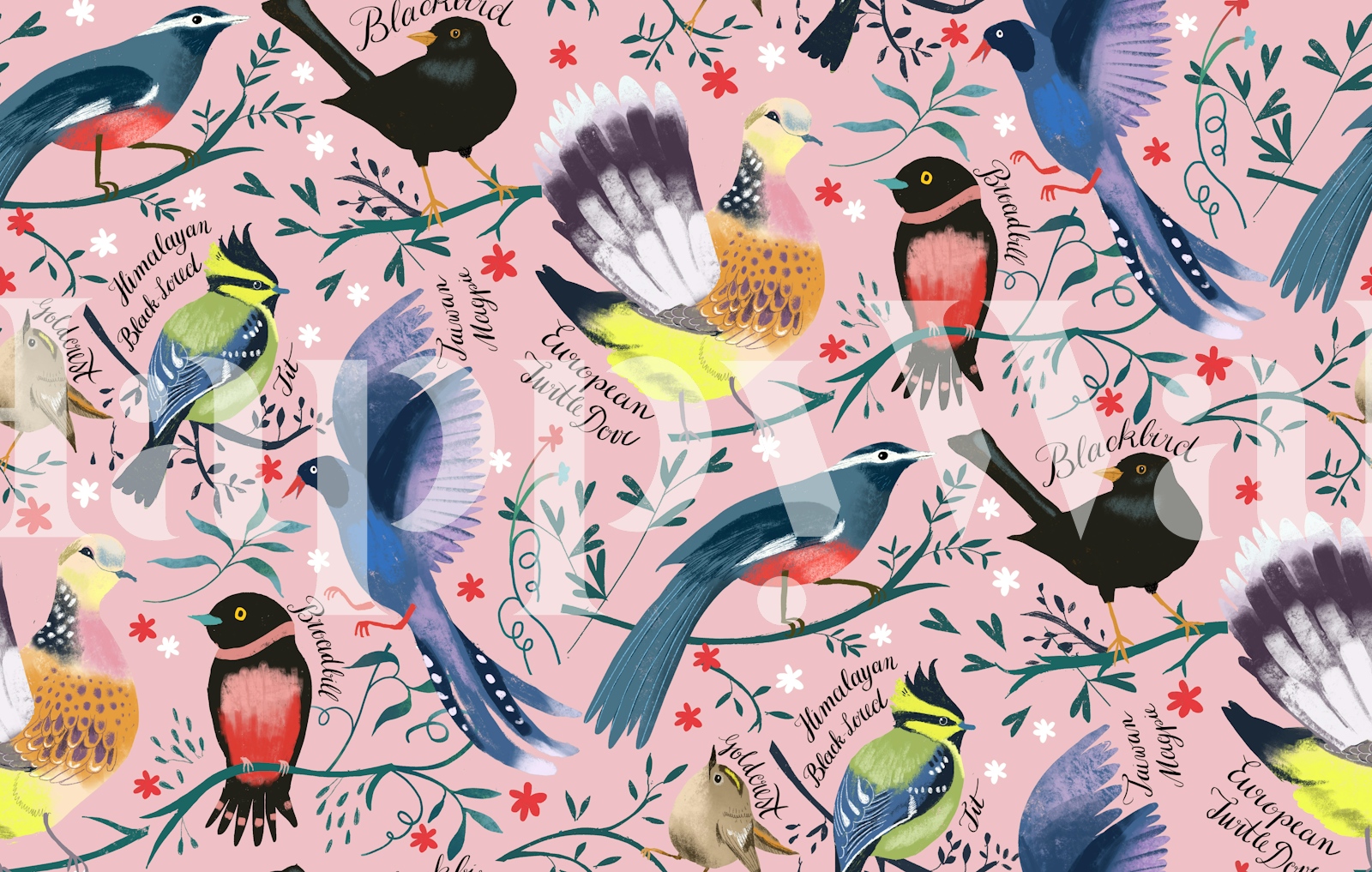 Colorful Bird Wallpaper for Kids' Rooms