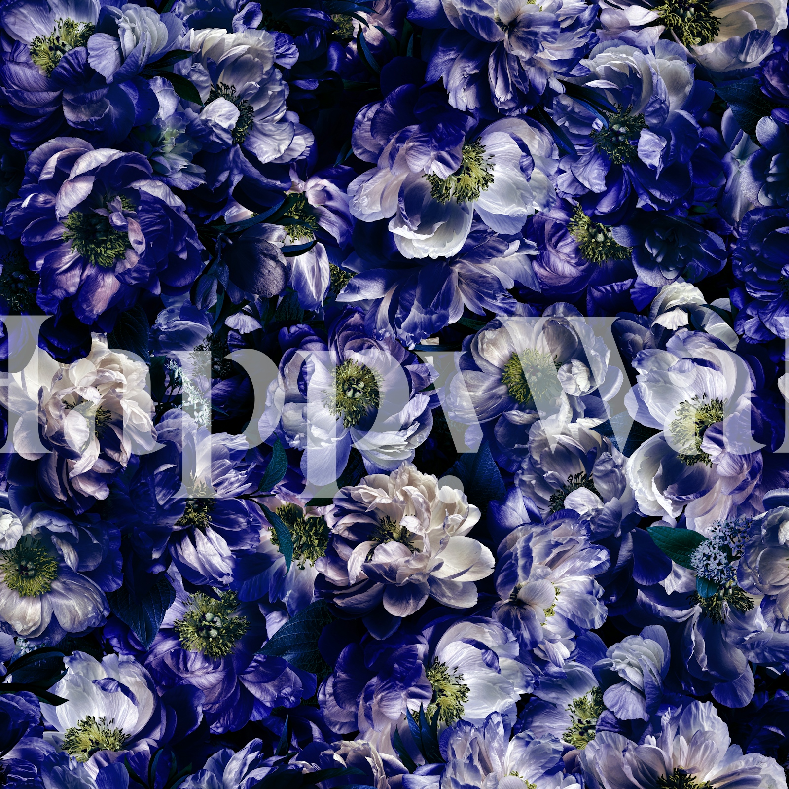 Magical Midnight-Floral 2 Wallpaper