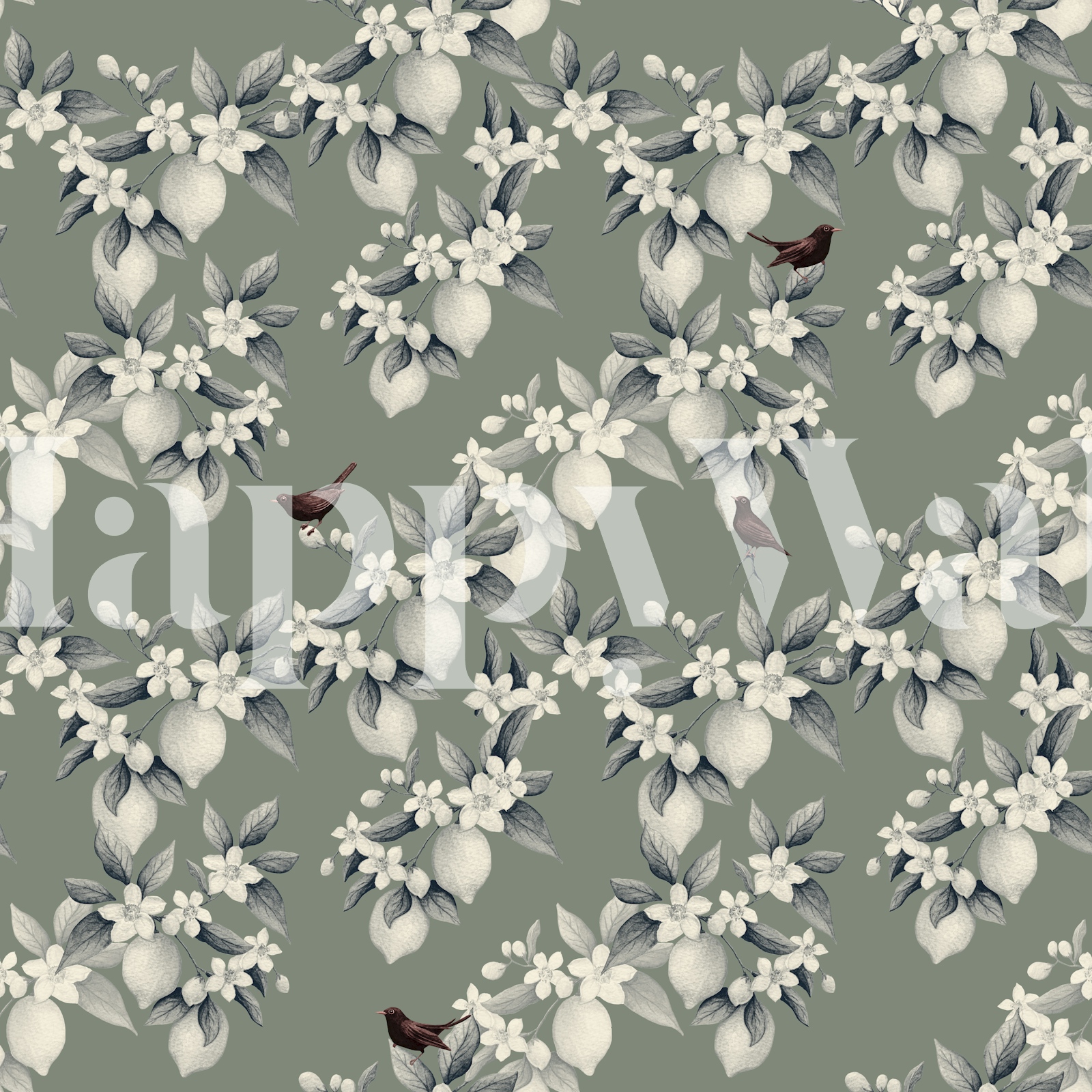 Lemon Grove Birds - Mint Wallpaper | happywall.com