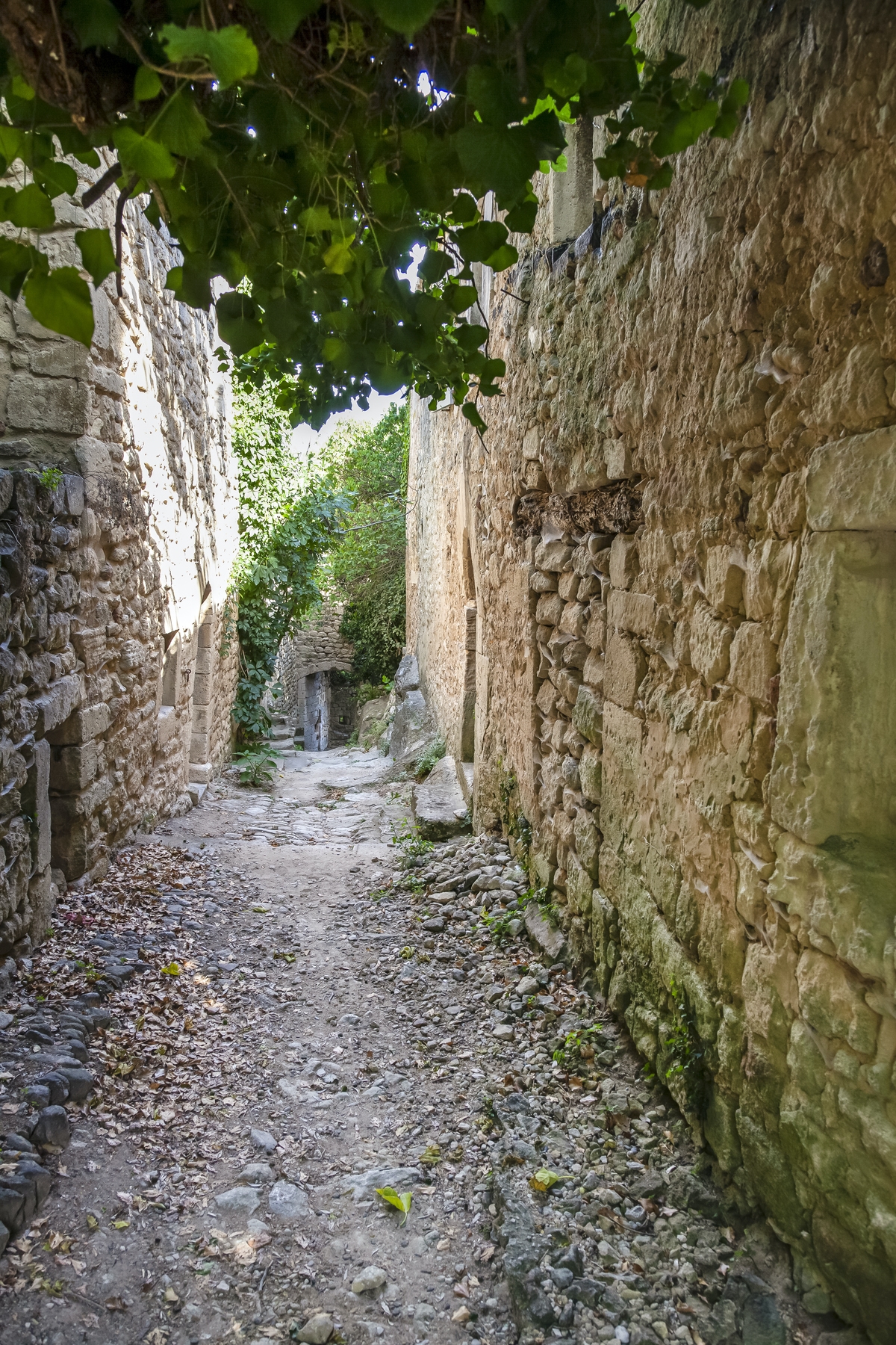Narrow Path Provence Village wallpaper - Happywall