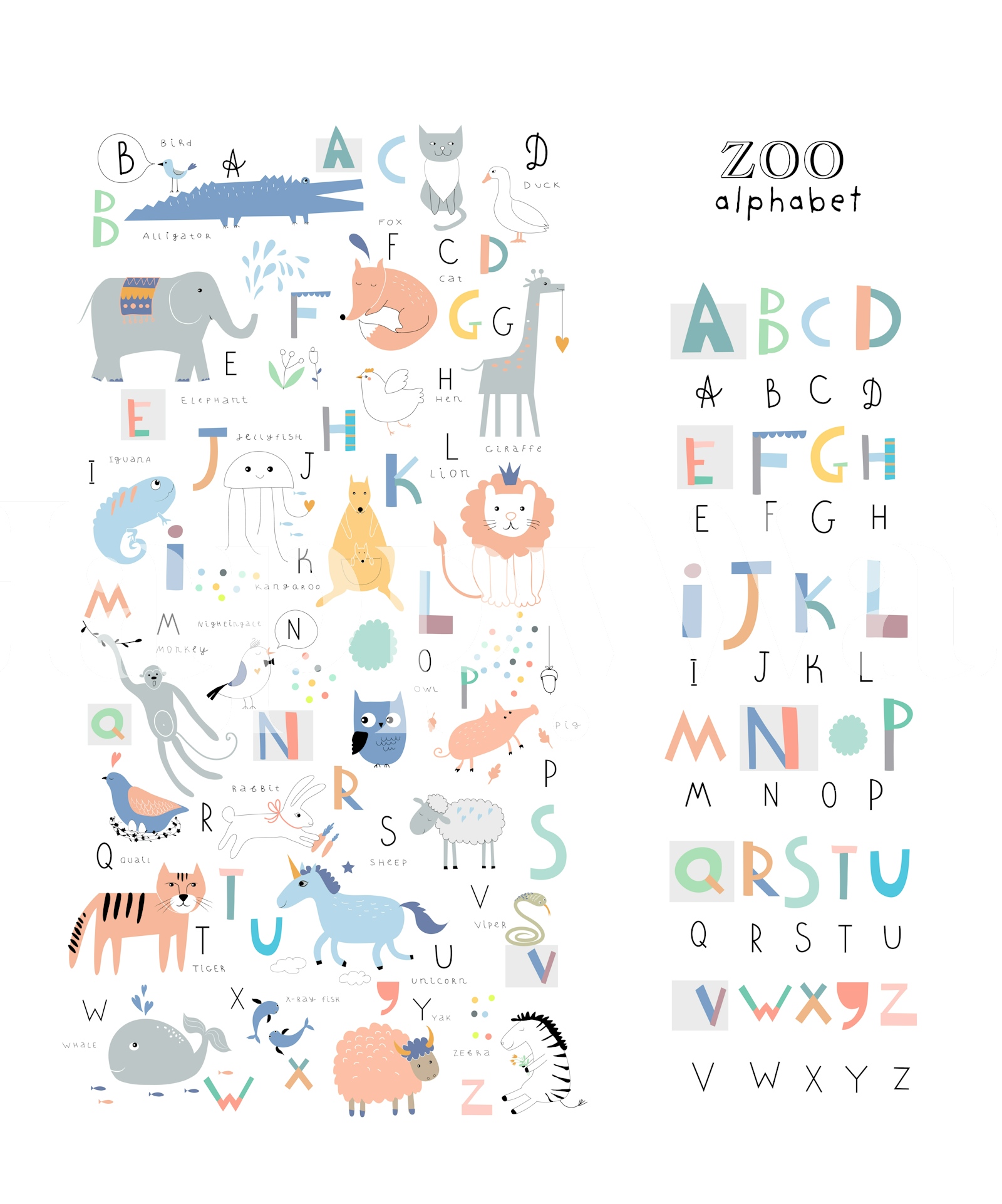Fun Colorful Zoo Alphabet - happywall.com