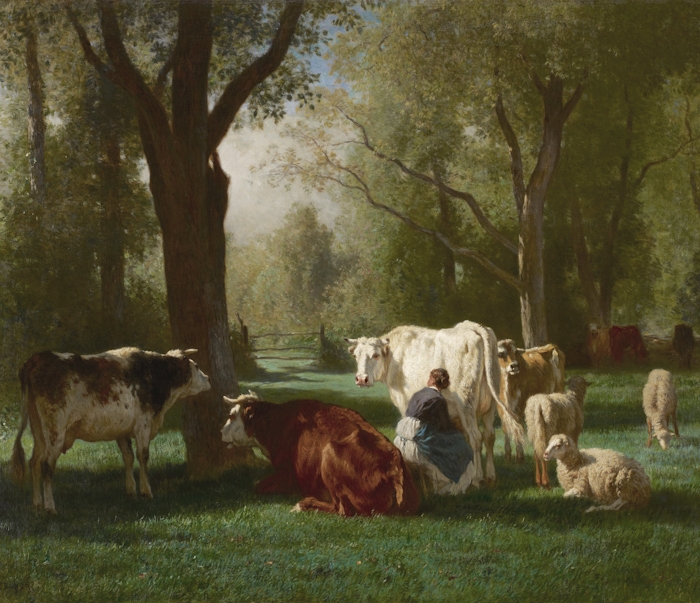 Pastoral Landscape Wallpaper with Cows and Sheep
