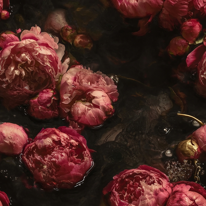 Peony Blooms in Twilight - happywall.com
