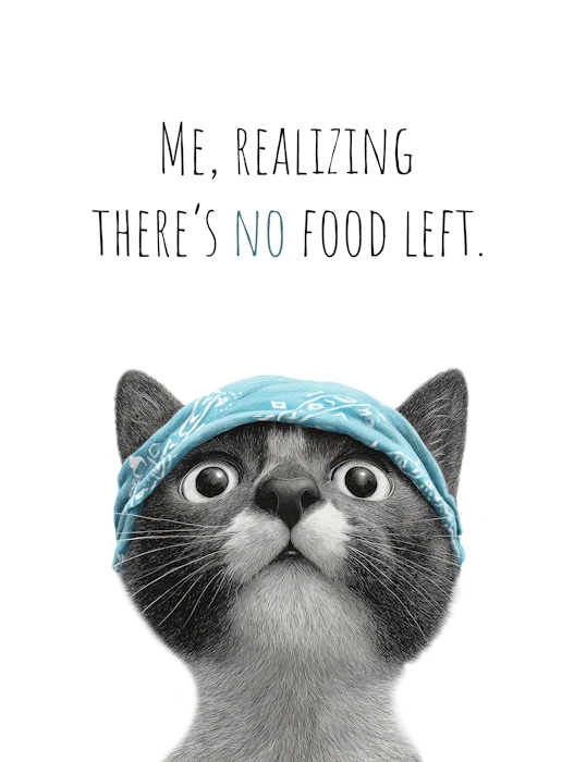 Cool Cat – No food left | happywall.com