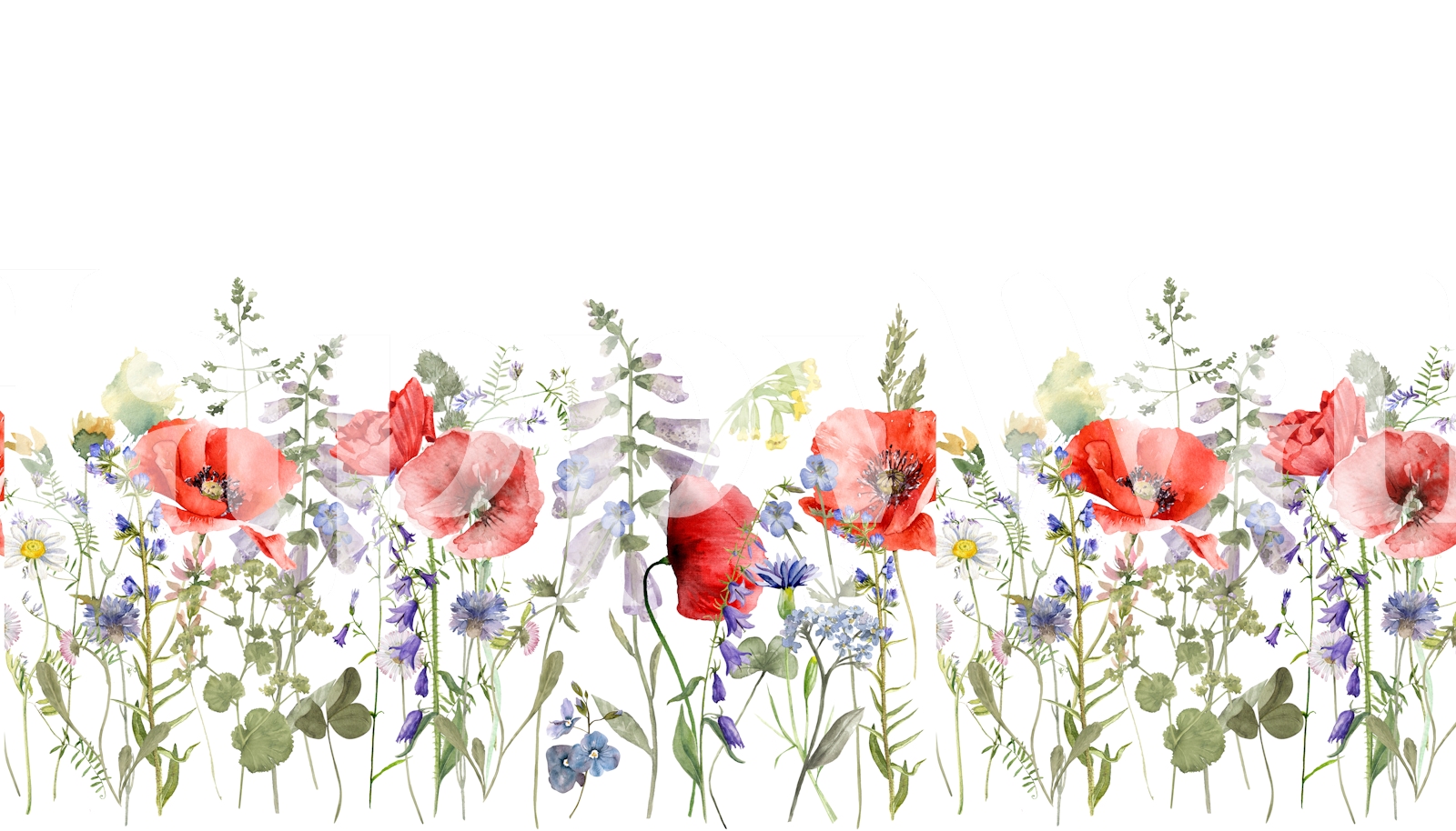 Floral Poppy and Cornflower Wallpaper