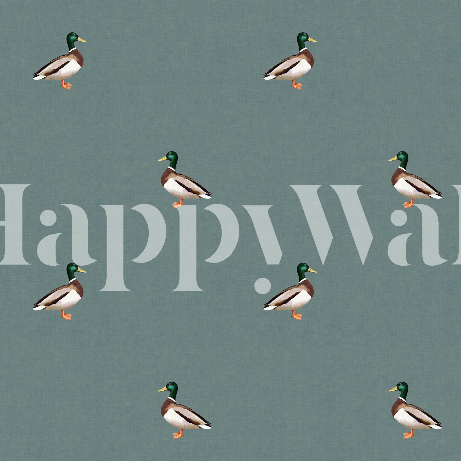 Slate Grey Duck Wallpaper for Country Decor