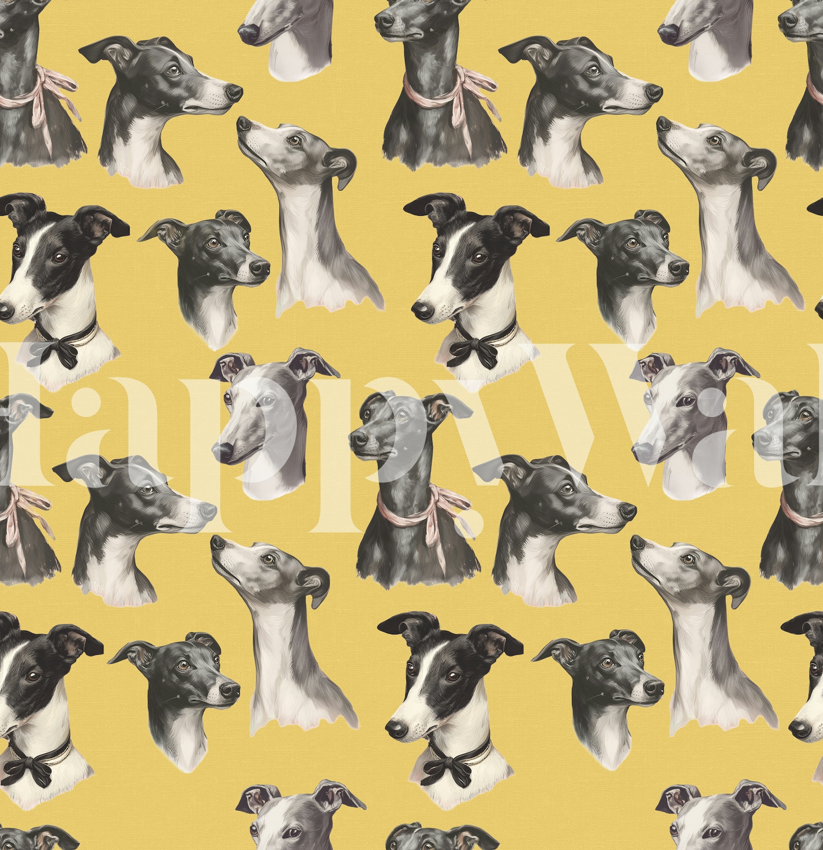 Yellow Whippet Dog Wallpaper for Pet Lovers