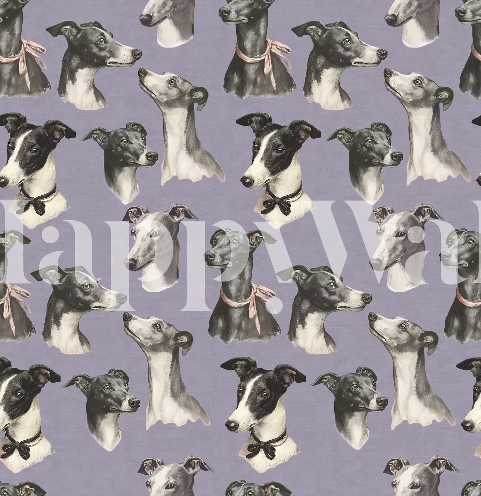 Whippet Dog Portrait Purple Wallpaper