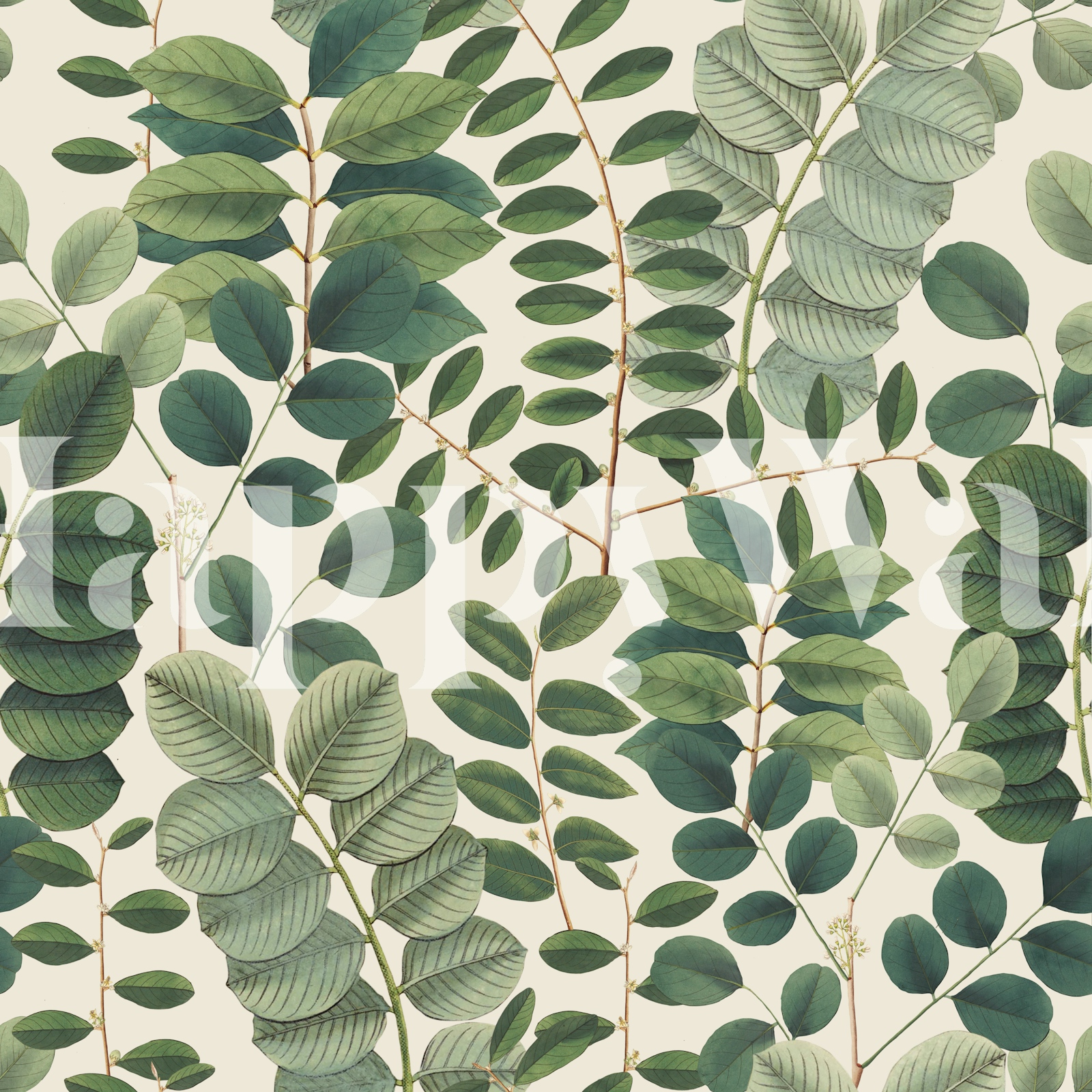 Leaf & Light Wallpaper - happywall.com