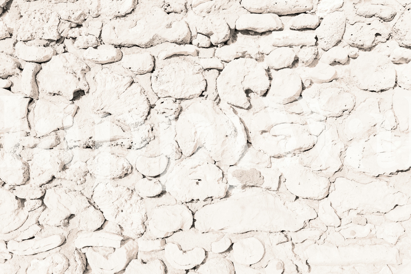 Rustic Coral Stone Wallpaper for Modern Decor