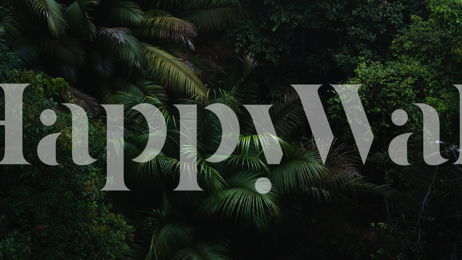 Deep Green Tropical Leaf Wallpaper
