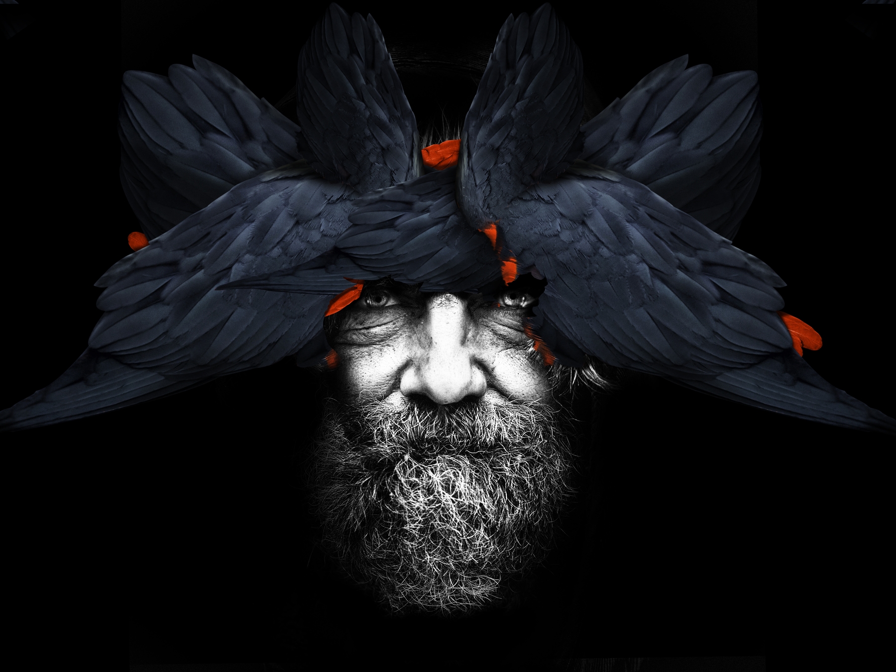 Buy Bird Man Blue Wallpaper | Happywall