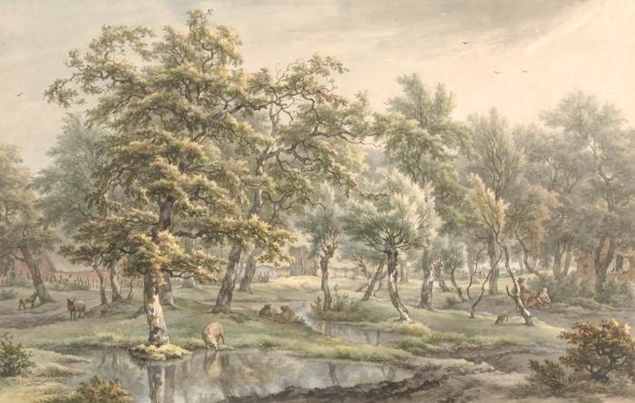 Old Forest Landscape Wallpaper