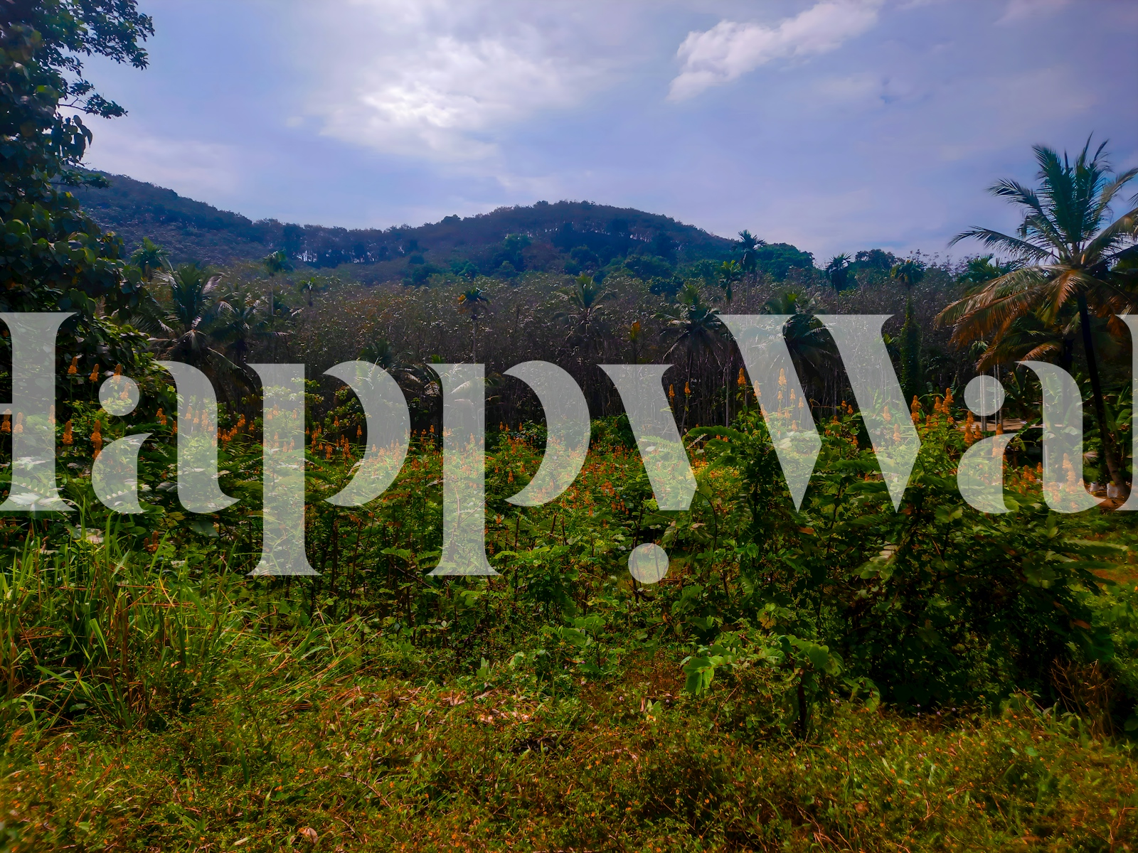 Idyllic Countryside Scene Wallpaper | happywall.com