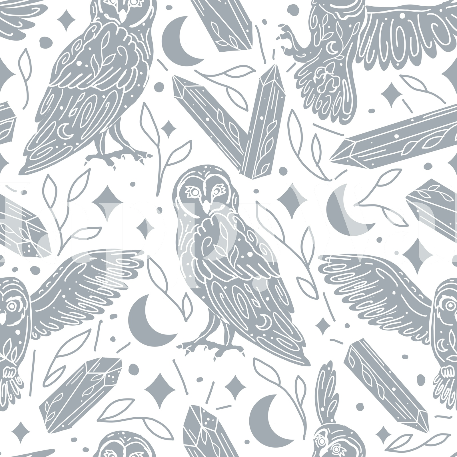 Hedwig Potter World Wallpaper