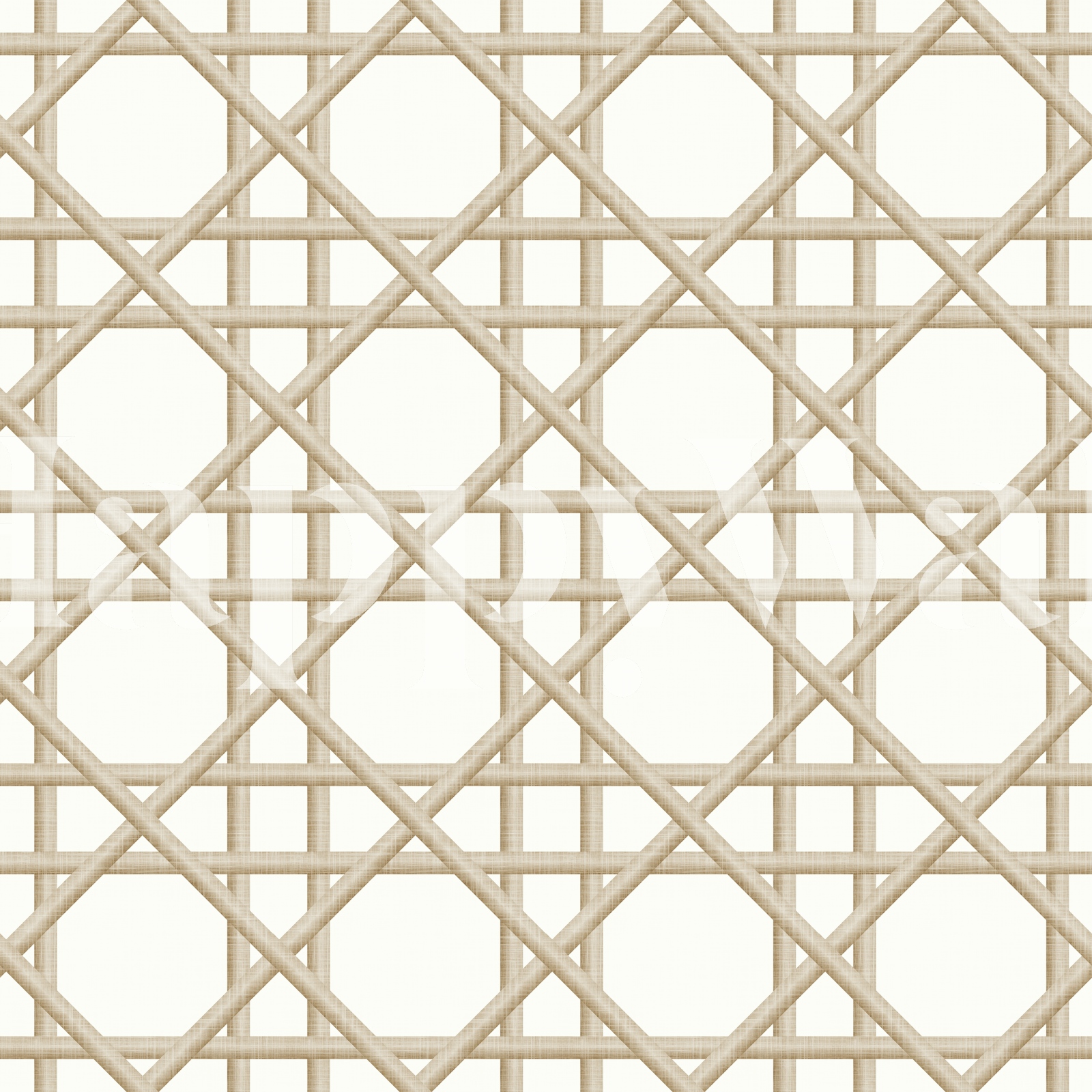 Woven Cane Lattice Trellis Minimalist Beige