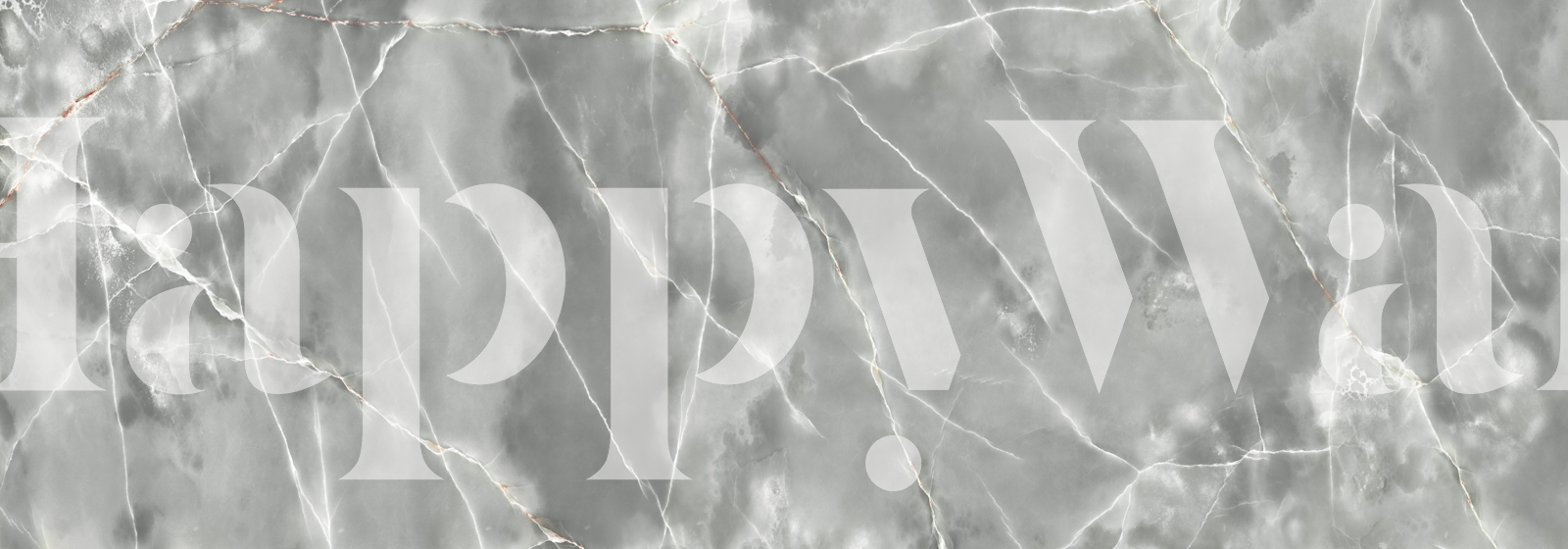 Ethereal Platinum Grey Marble - Happywall.com