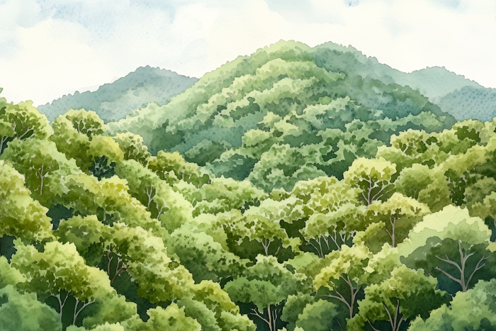 Mountain Tree Serenity Wallpaper - happywall.com